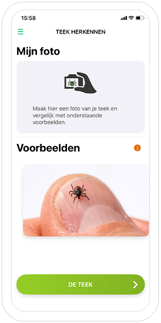 Rivm Tekenbeet Voorlichtings App Dtt